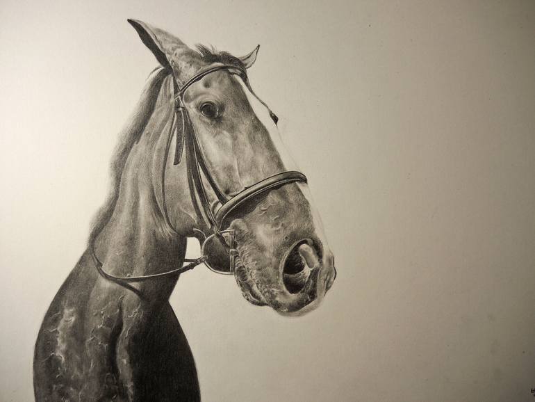 Companion Drawing by Binna Kim | Saatchi Art