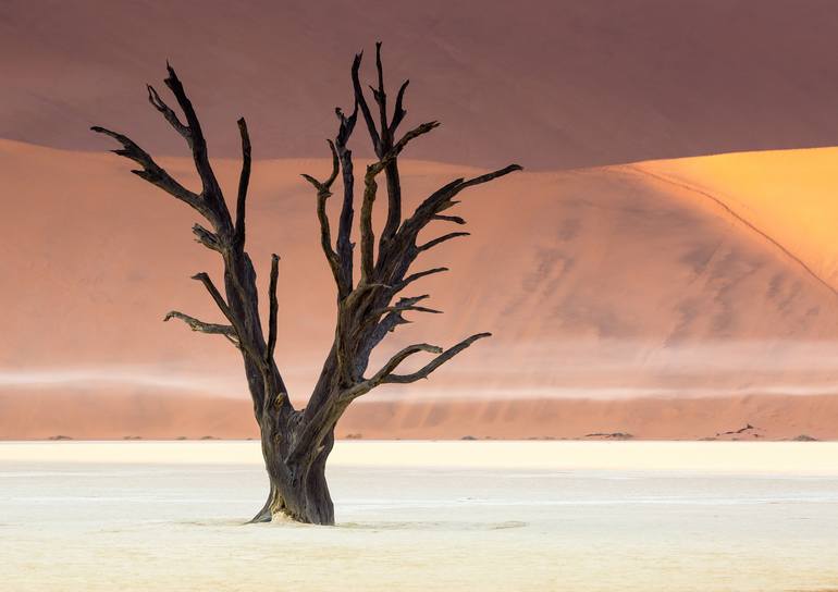 Deadvlei Namibia Photography by Mike Cullis | Saatchi Art