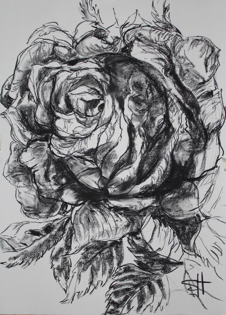 Black Rose Drawing by Shauna Southam | Saatchi Art