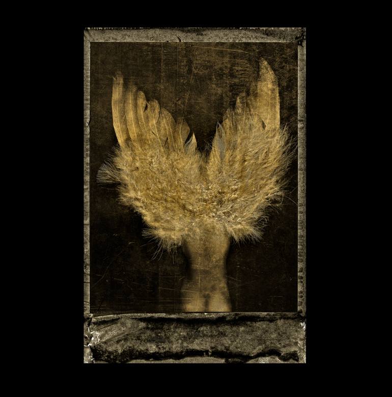 Angel Ikarus (Anderswelten) Photography by LW Antonius | Saatchi Art