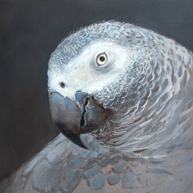 Grey Parrot Painting by Amy Sandys-Lumsdaine | Saatchi Art