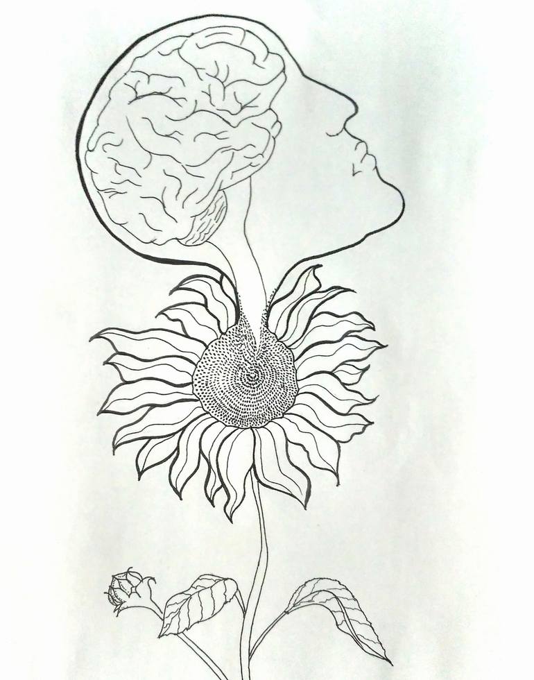 Sunflower Head Drawing by shopno samudra | Saatchi Art