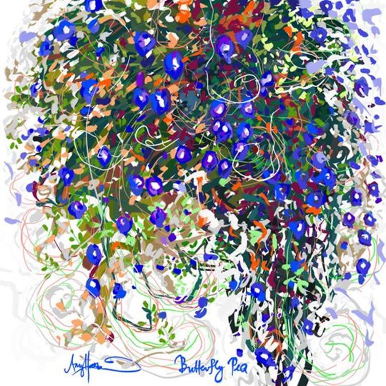 Blue Peas Drawing by Amy Hashim | Saatchi Art