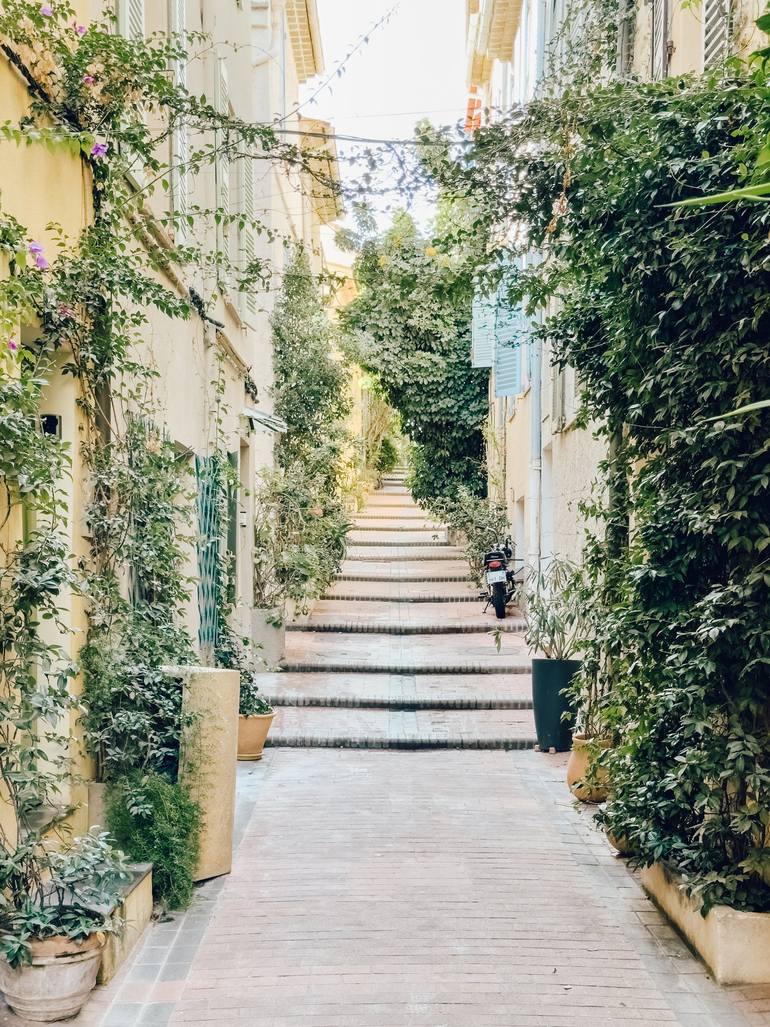 Cote d'Azur France, French Riviera, South of France, Urban Jungle ...