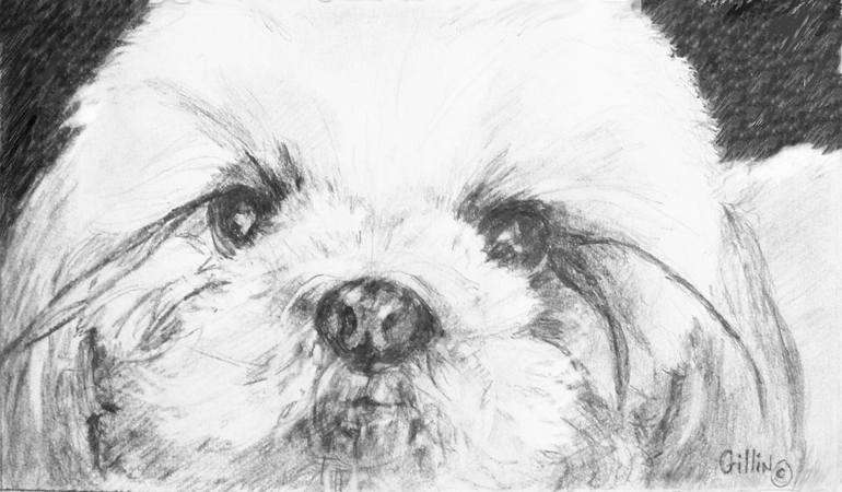 Annie Drawing by Patricia Gillin | Saatchi Art