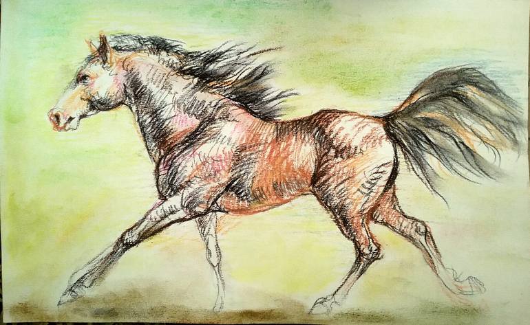Painted stallion running Drawing by Daniela Vasileva | Saatchi Art