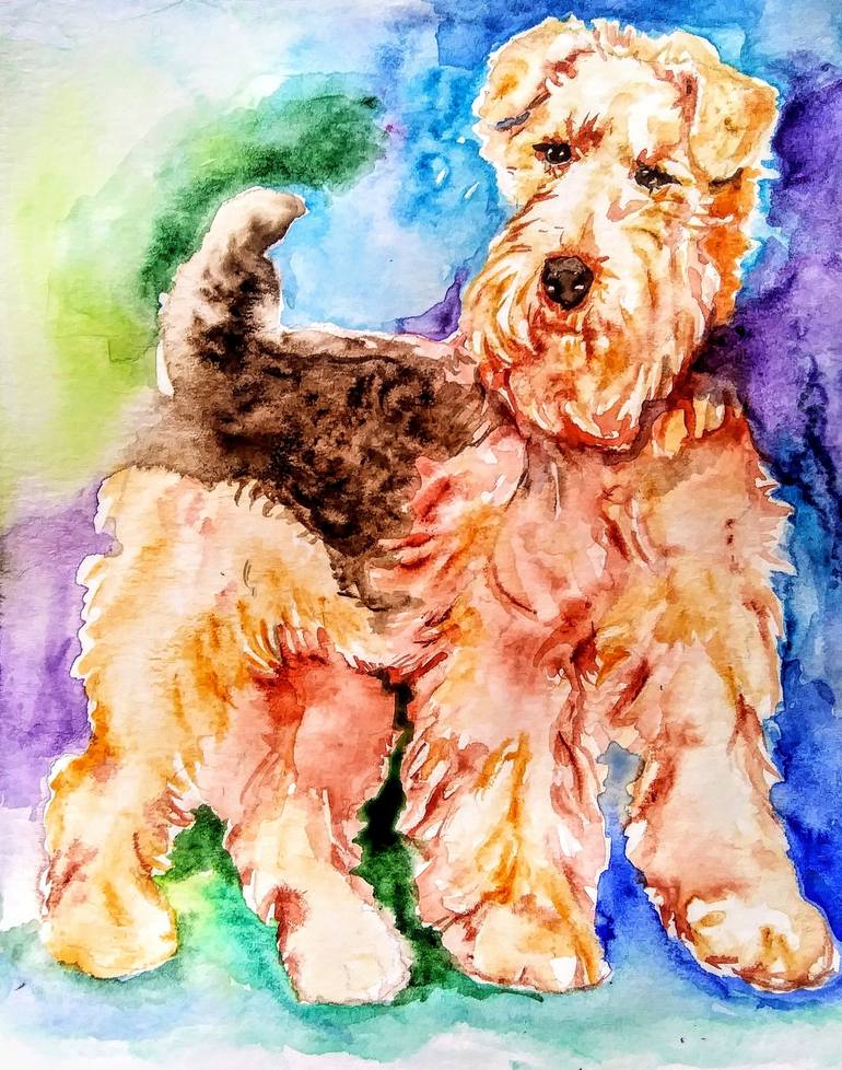 Irish terrier .Dog Painting by Daniela Vasileva | Saatchi Art