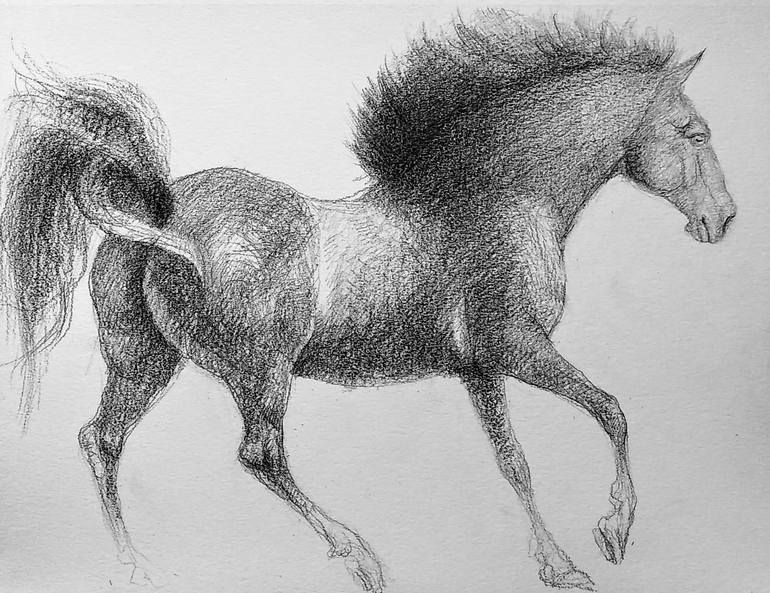 Black stallion running Drawing by Daniela Vasileva | Saatchi Art