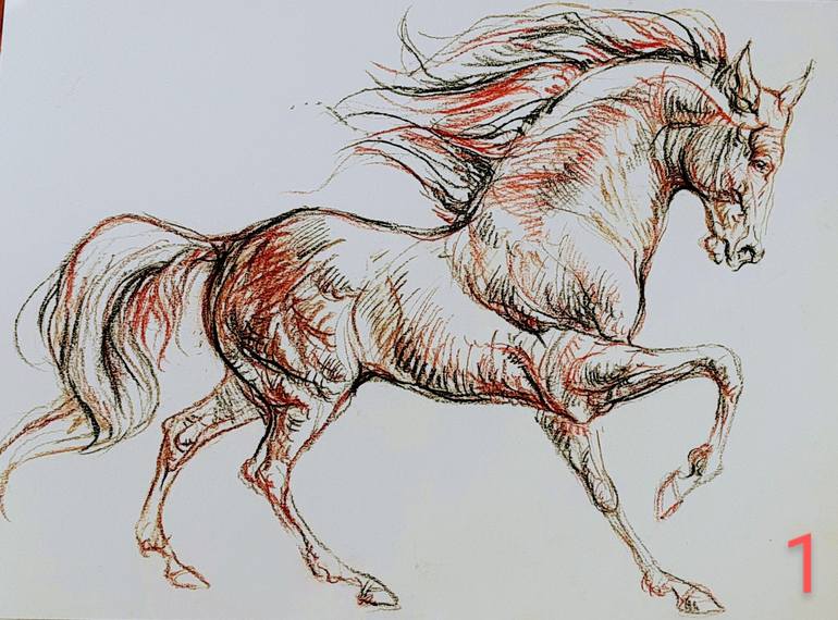 Stallion Drawing by Daniela Vasileva | Saatchi Art