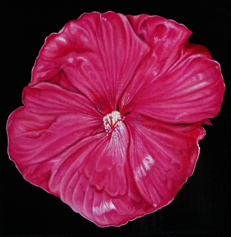 HIBISCUS MOSCHEUTOS Painting by Matteo Germano | Saatchi Art