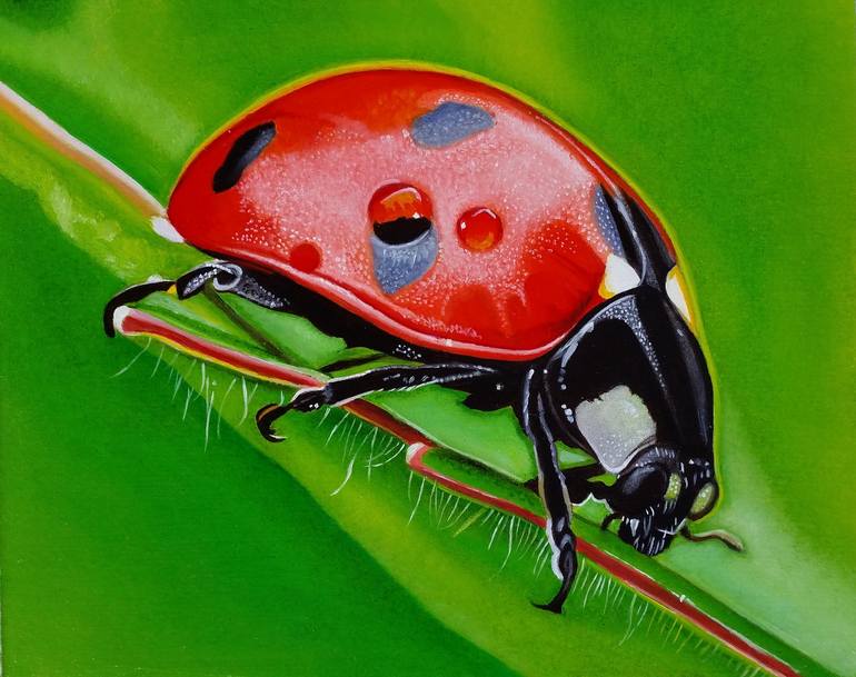 LADYBUG II Painting by Matteo Germano | Saatchi Art
