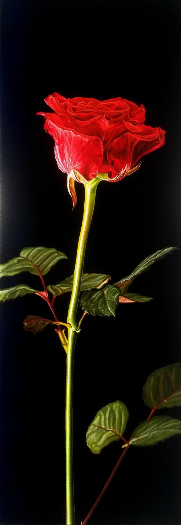 RED ROSE Painting by Matteo Germano | Saatchi Art