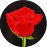 RED ROSE IV Painting by Matteo Germano | Saatchi Art
