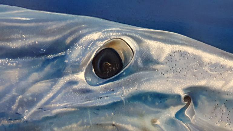 MAKO Painting by Matteo Germano | Saatchi Art