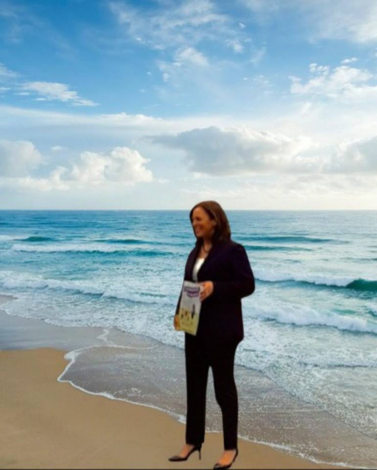 Kamala Harris Beach Breeze Photography by Blake Levine | Saatchi Art