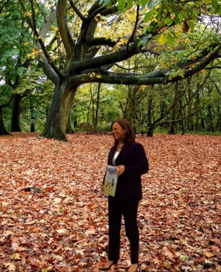 Kamala Harris Trees+Fall Foliage Photography by Blake Levine | Saatchi Art