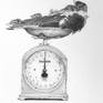 21 grams ... naught 2012 Drawing by Sonya G Peters | Saatchi Art