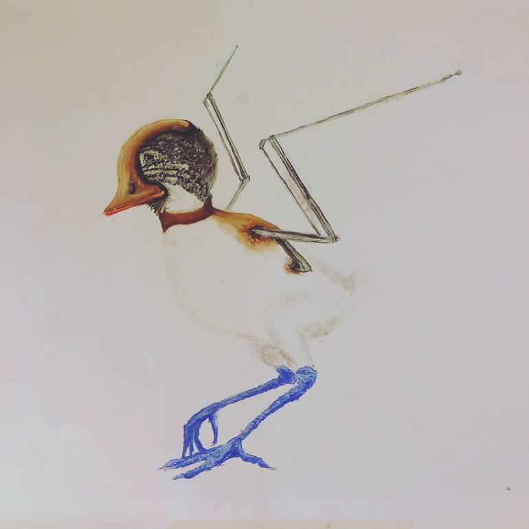 Chick Drawing by Jasper Kooper | Saatchi Art