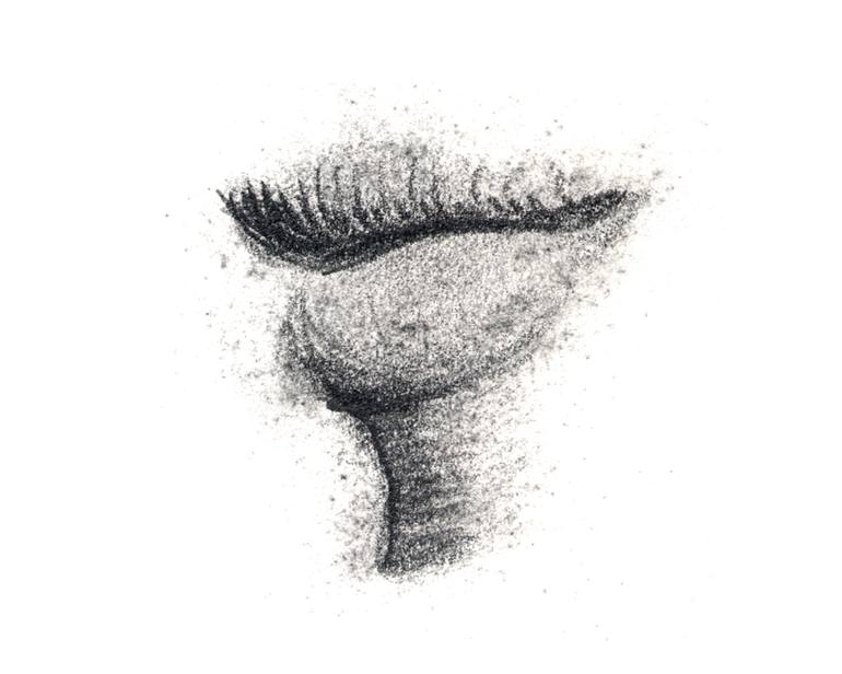 Amuse-bouche Drawing by Kellina de Boer | Saatchi Art