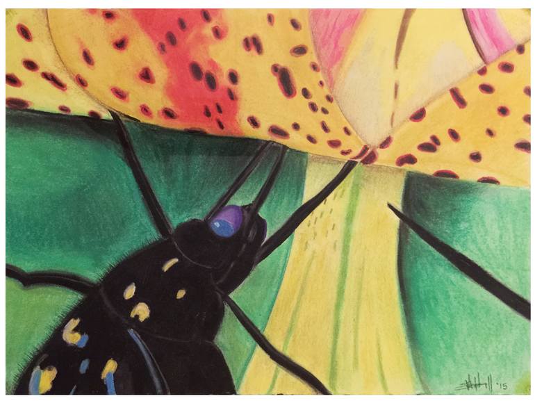 Butterfly 2 Painting by Eva Hill | Saatchi Art