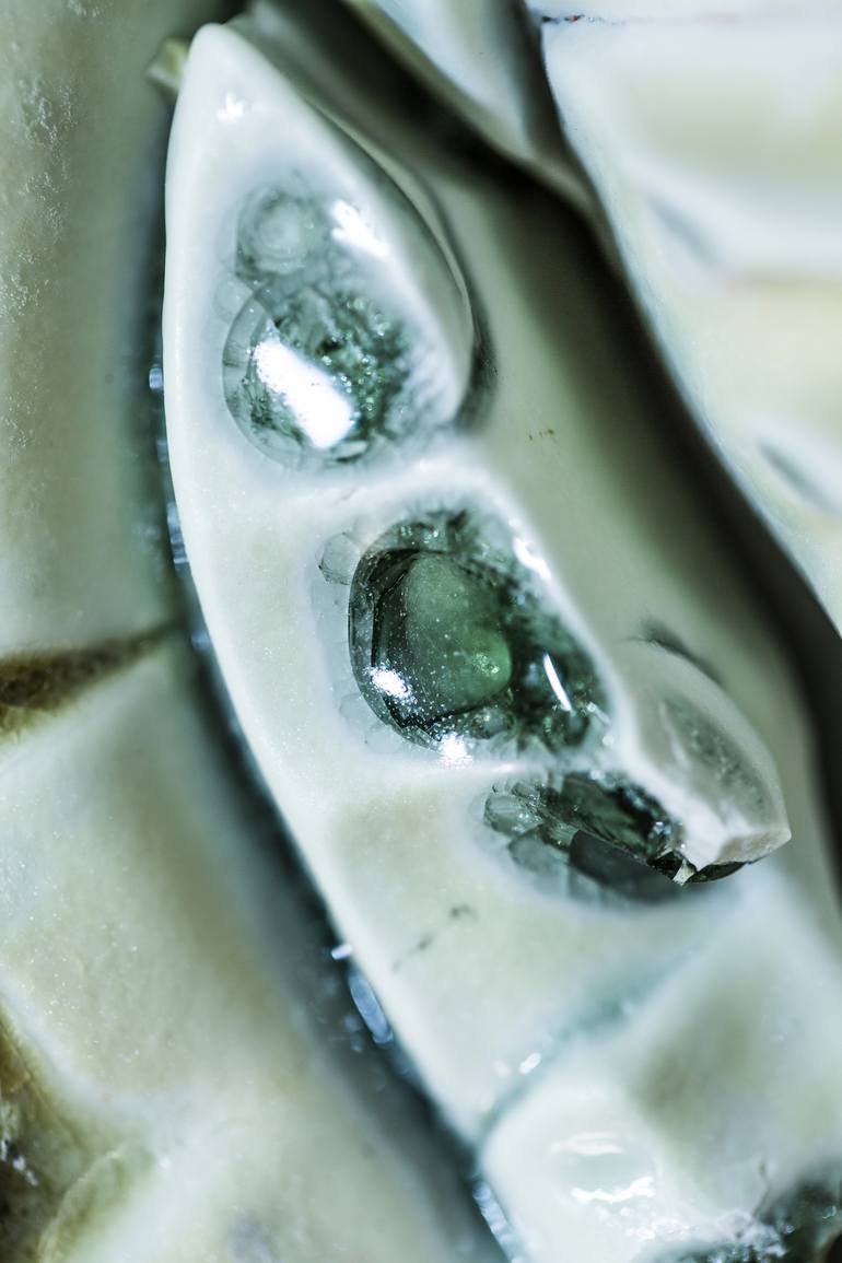 Massive: Aludra - Limited Edition of 10 Photography by Jennifer Wolf ...