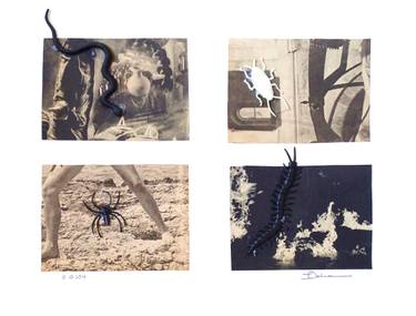 Peter Beckman Artworks | Saatchi Art