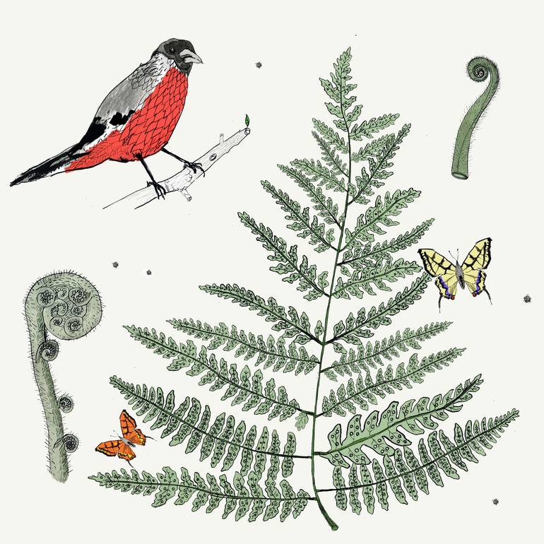 Polypodiophyta Drawing by Laura Wady | Saatchi Art