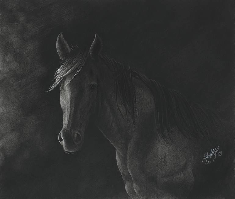 Night Watch Drawing by Stephen McCall | Saatchi Art