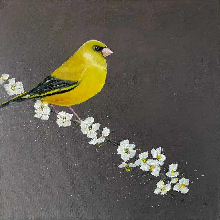 Pastel Drawing & Illustration Greenfinch Original Artwork etna.com.pe