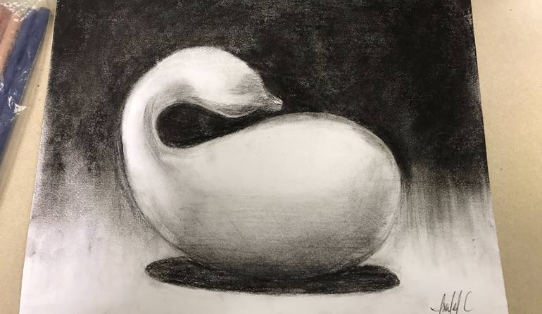 Gourd Drawing by Isabel Cochran | Saatchi Art