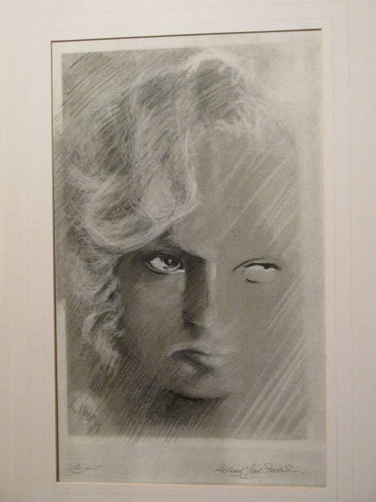 STEVIE Drawing by Richard Stephenson | Saatchi Art