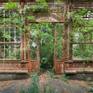 Brown Green Rusty House - Limited Edition 2 of 10 Photography by ...