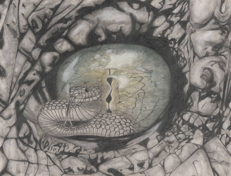 Pencil Drawings Of Snake Eyes