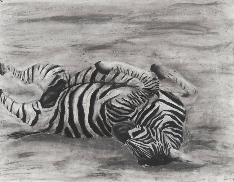 Zebra Dugout Drawing by Marcy Mcneal | Saatchi Art