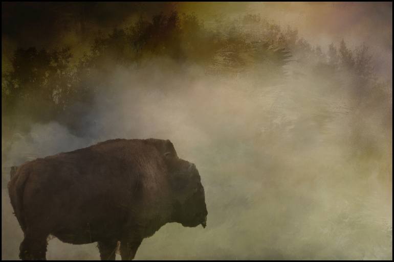 Bison in the Mist Photography by Craig Walters | Saatchi Art