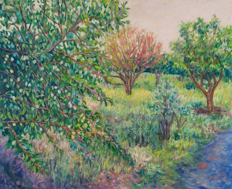 Plum Tree Orchard