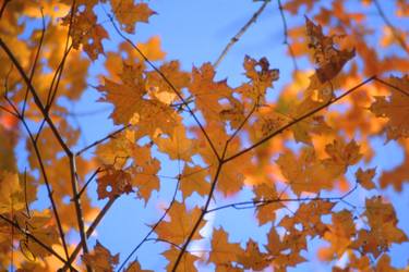 gregory west Artworks | Saatchi Art