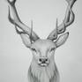Barasingha Drawing by Harrison Razzaq | Saatchi Art