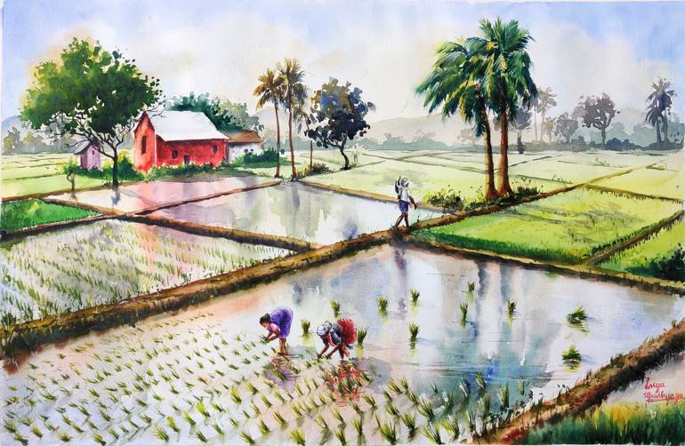 Morning light in paddy fields Painting by Lasya Upadhyaya | Saatchi Art ...