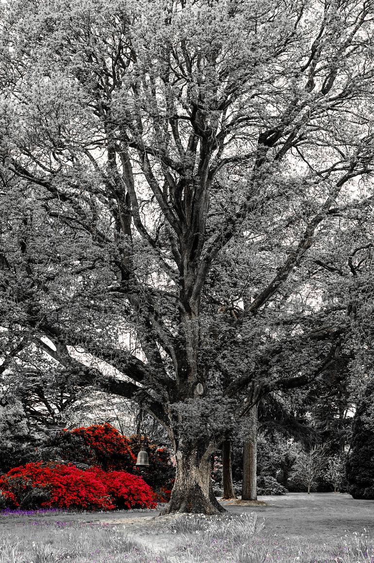 The Burmese Bell Printmaking by Nick de Rothschild | Saatchi Art