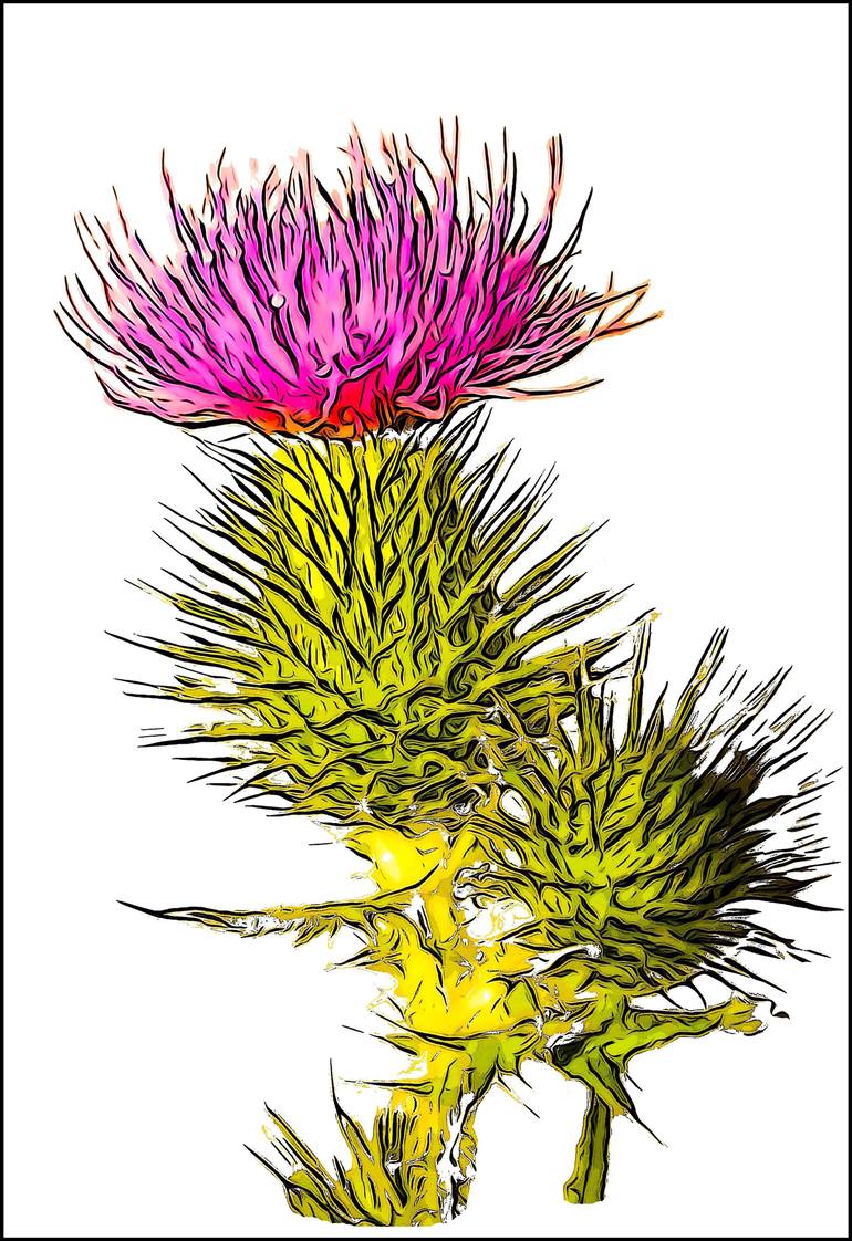 Thistle Printmaking by Nick de Rothschild | Saatchi Art