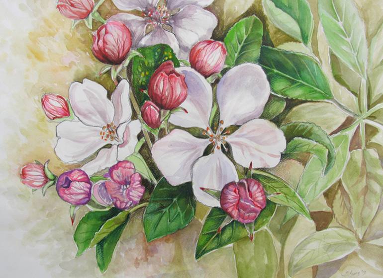 apple flower Painting by Vladimir Kolev | Saatchi Art apple flower Painting by Vladimir Kolev | Saatchi Art