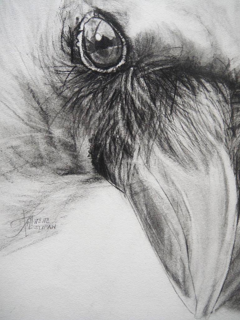 INQUISITIVE Drawing by Ann Supan | Saatchi Art