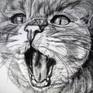 SAY MEOW Drawing by Ann Supan | Saatchi Art