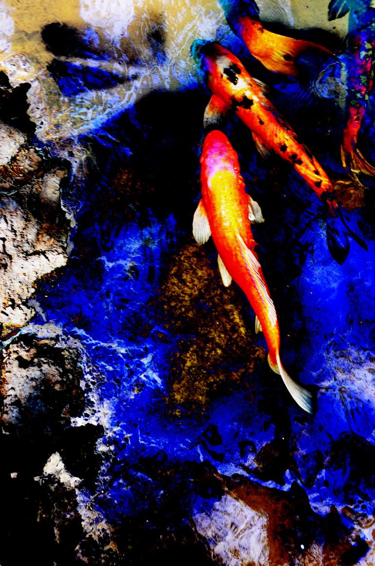 Koi Ha Hoy Ha La Loo La Loy Fish Pond Photography by Grace Divine ...
