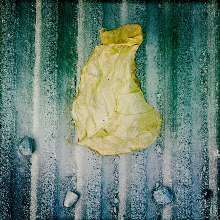 Five Photography by Thomas Waters | Saatchi Art