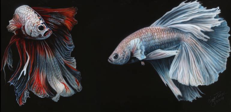 Siamese Fighting Fish Painting by Wayne Pruse | Saatchi Art
