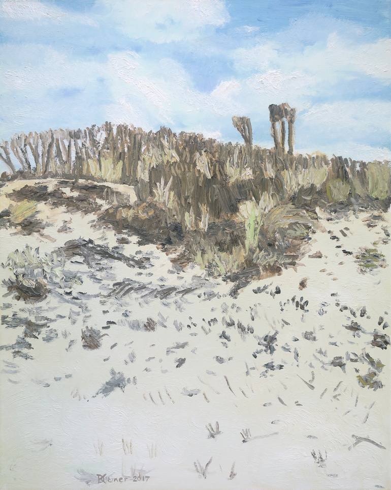 Fire Island Dunes Painting by David Kleiner | Saatchi Art