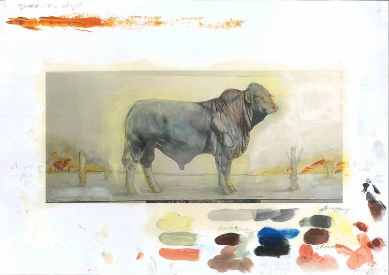 Droughtmaster Colour Study Painting by Den L Scheer | Saatchi Art