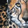 Mesmerizing Gaze (Cheetah 3) Drawing by Thomas Ciccone | Saatchi Art